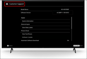 How To Fix a Sony TV Error Code with 4 Blinks