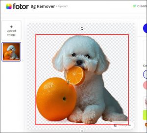 How To Remove the Background From an Image in Google Slides