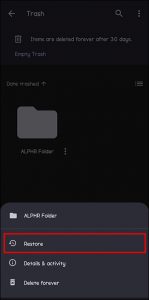 How To Recover a Deleted Folder in Google Drive