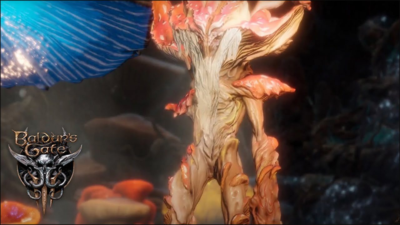 Baldur’s Gate 3 Quest Order