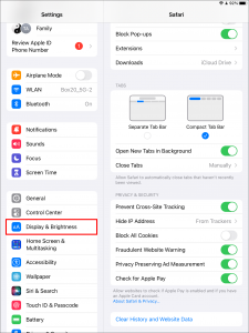 How to Change the Icon Size on an iPad
