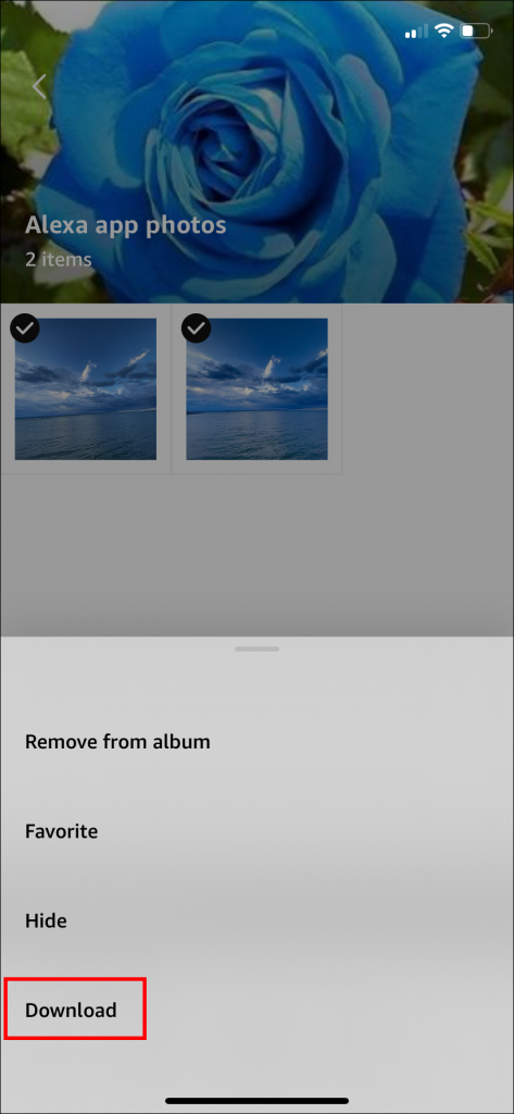 Amazon Photos: What Happens When You Cancel Prime?
