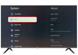 How To Turn On or Off Developer Mode on a Hisense TV