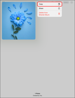 Procreate: How to Add Image to Layer