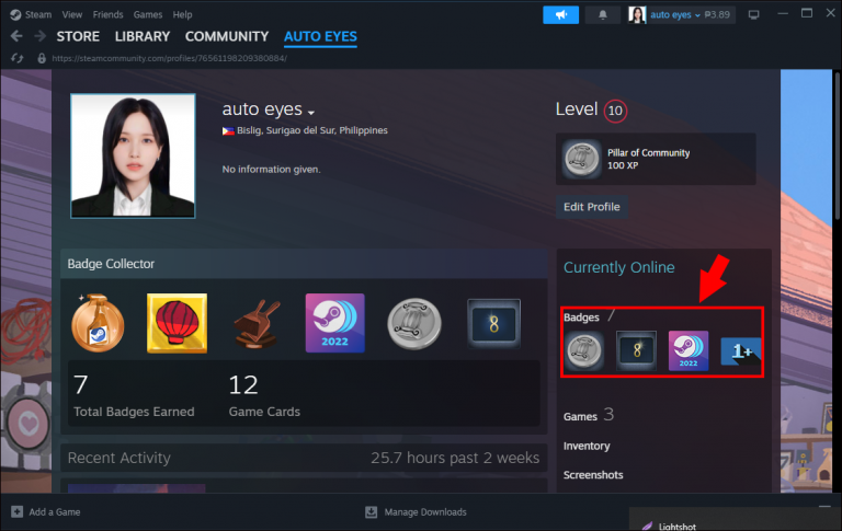 How to Get Levels in Steam