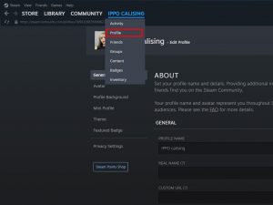 How to Get Points for Free in Steam