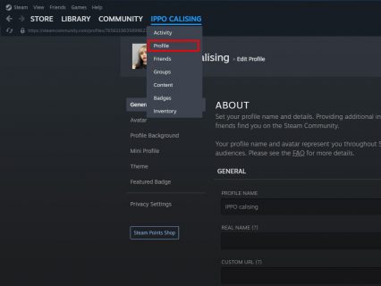 How to Get Points for Free in Steam