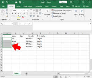 How to Insert Multiple Rows in Excel