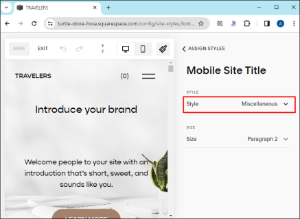 How to Change a Website Name in Squarespace
