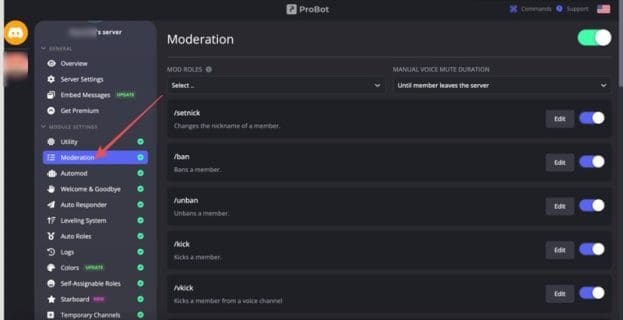 How to Get the Most Out of ProBot on Discord
