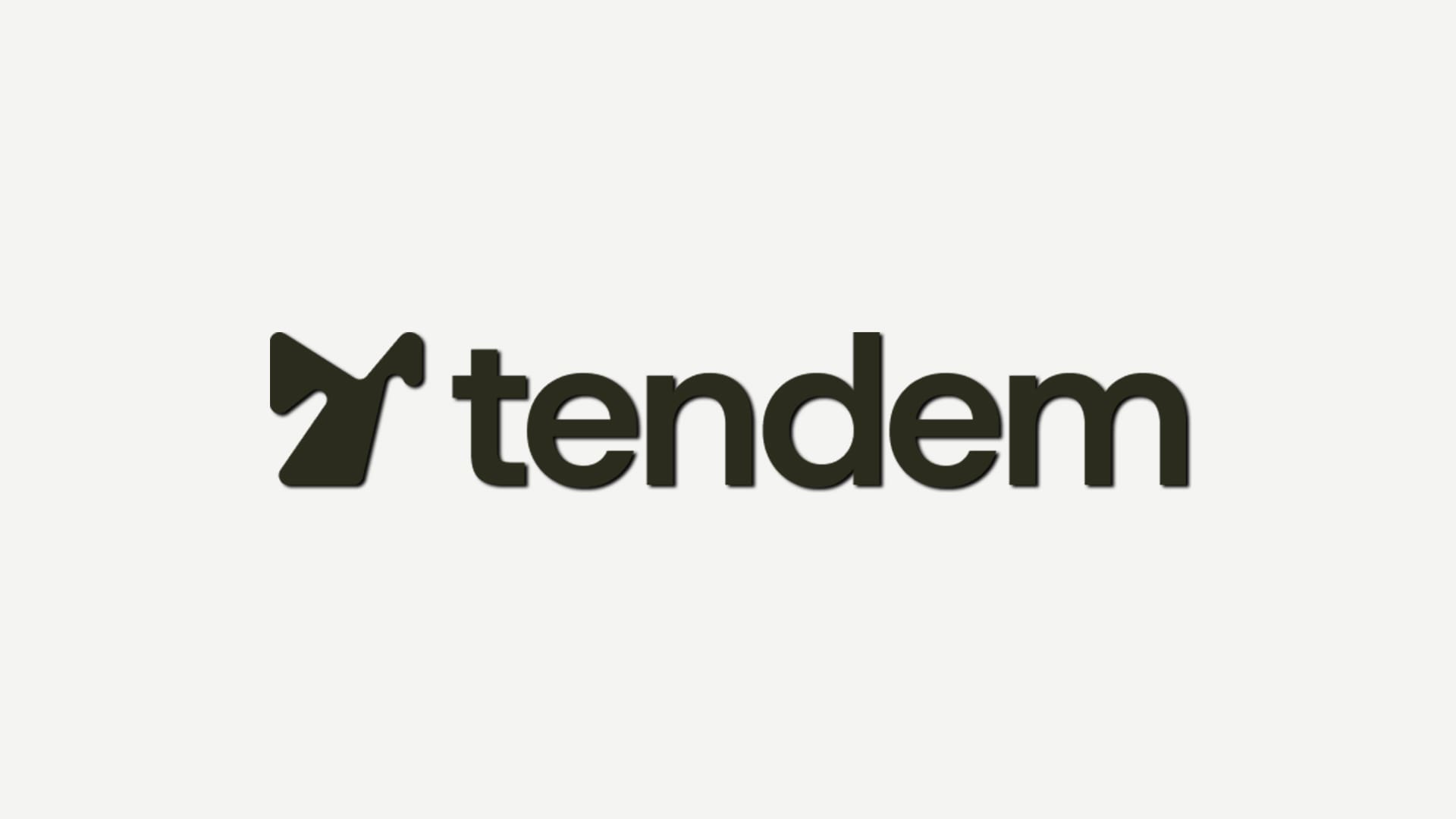Human Expertise Meets AI: Our Tendem AI Review
